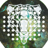 Padel racket - Bear | Beste racket design van het jaar ☝ | Matchu Sports